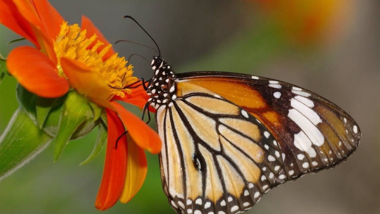 Your Community – Elegrow Pty Ltd